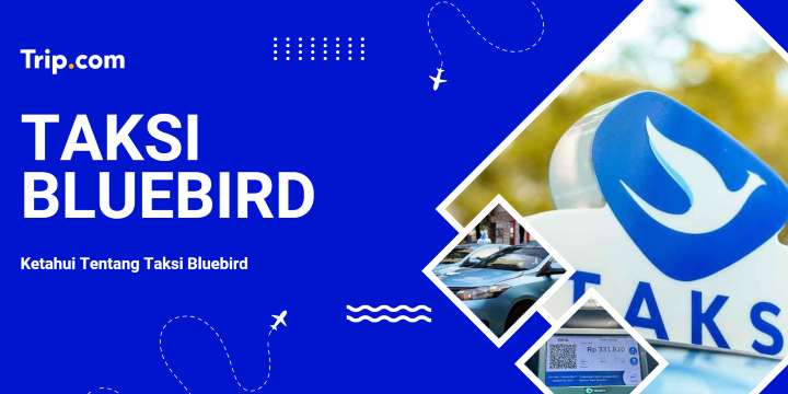 Panduan Menggunakan Taksi Blue Bird di Indonesia | Trip.com