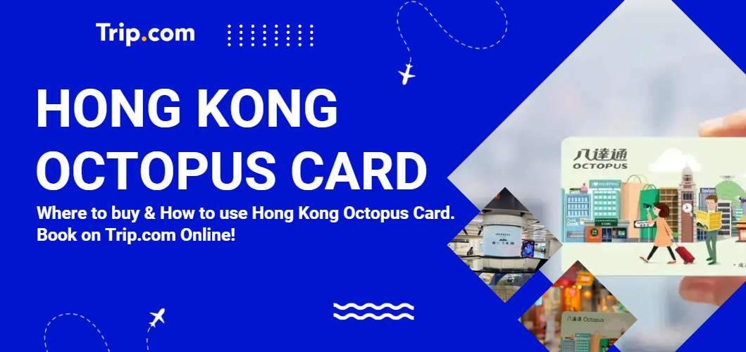 Hong Kong Octopus Card: Reviews, Booking & How to Use | Trip.com