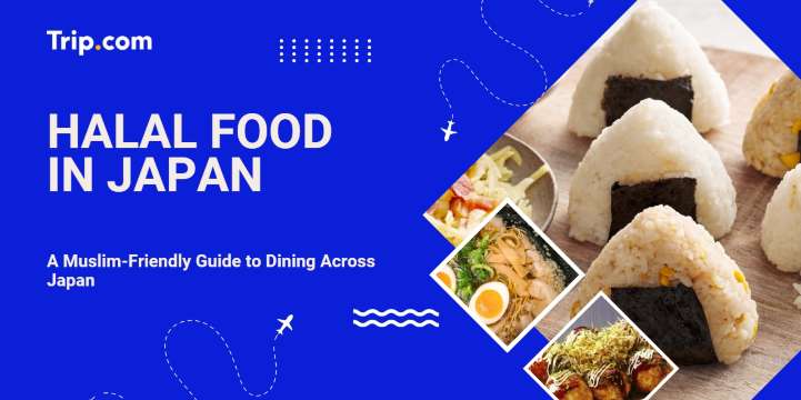 Halal Food in Japan 2026: A Foodie’s Guide to Halal Restaurants ...