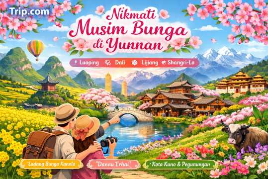 Nikmati Musim Bunga di Yunnan | Trip.com