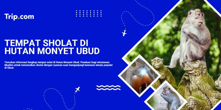 Tempat Sholat di Hutan Monyet Ubud – Trip.com