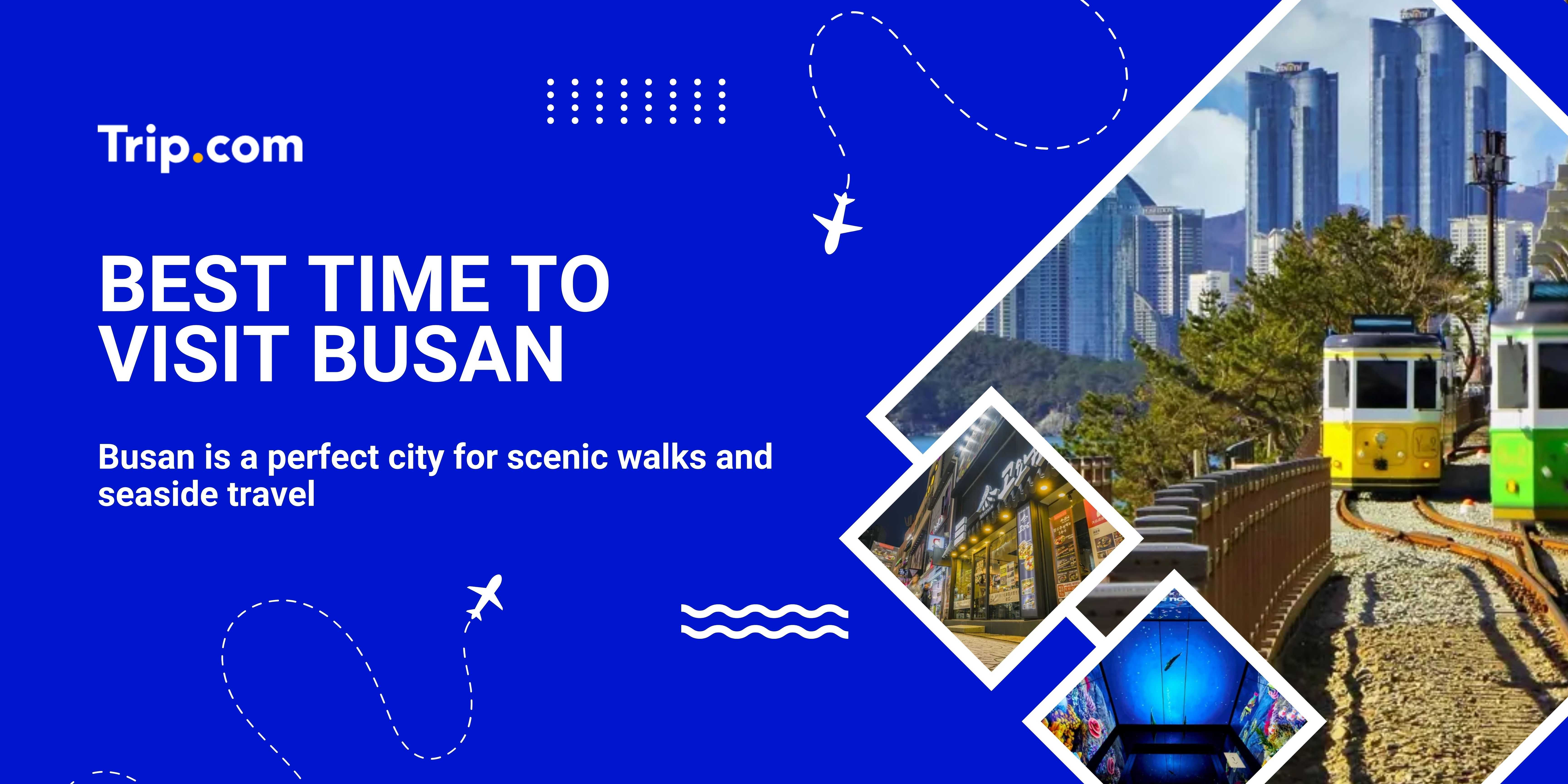 Best Time to Visit Busan: Weather, Seasons and Travel Tips | Trip.com