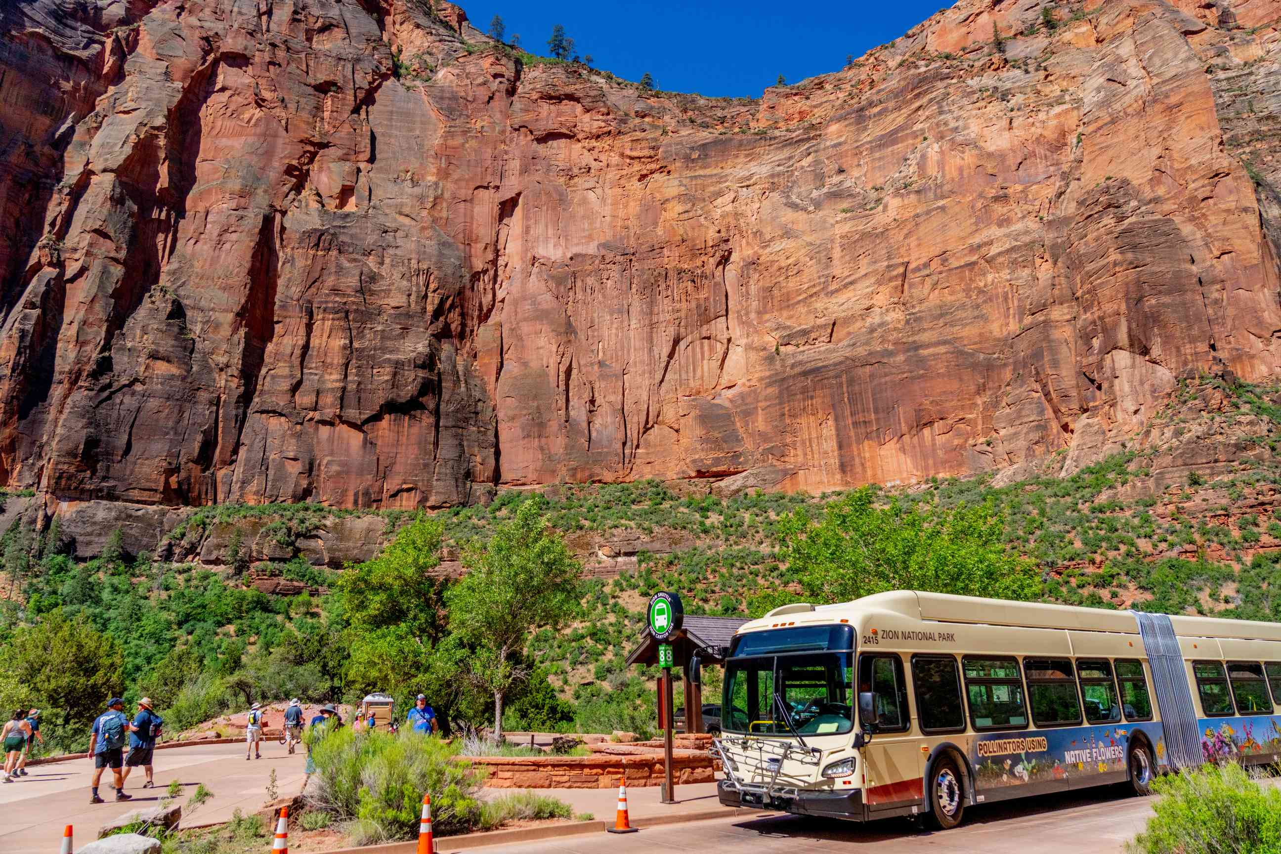 Zion National Park Shuttle Guide (2026): Schedule, Route, and Tips ...