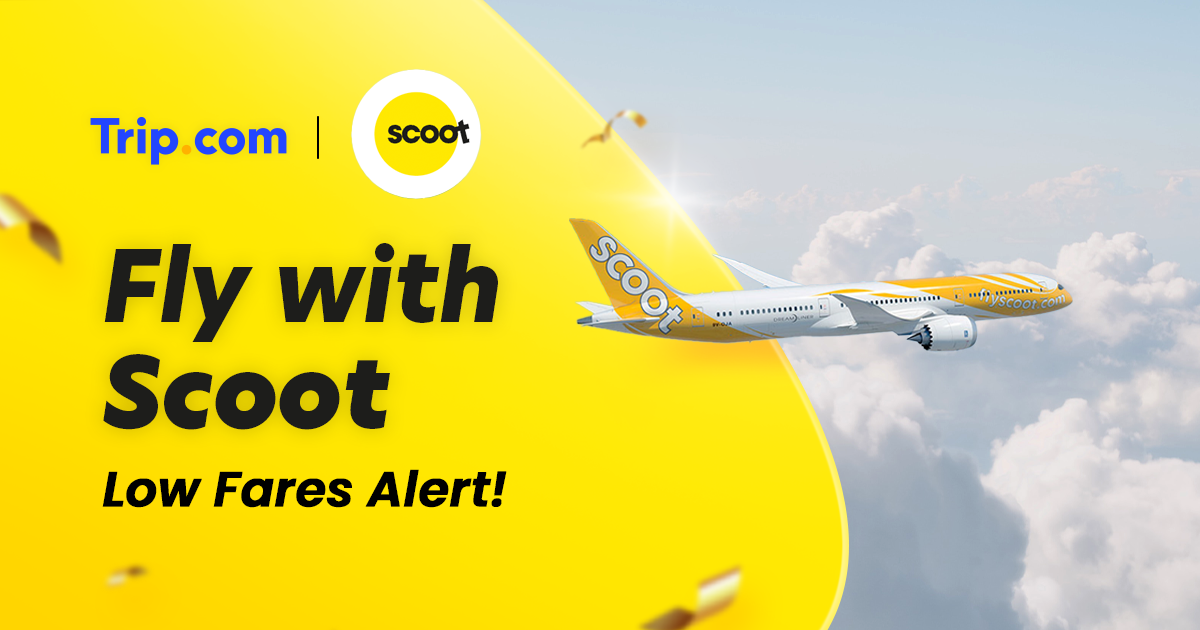 Scoot Flight Promotions | Trip.com