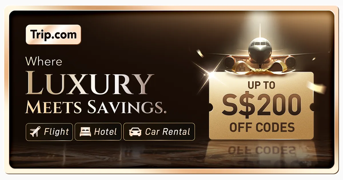 When Luxury Meets Savings – Premium Business & First Class Deals