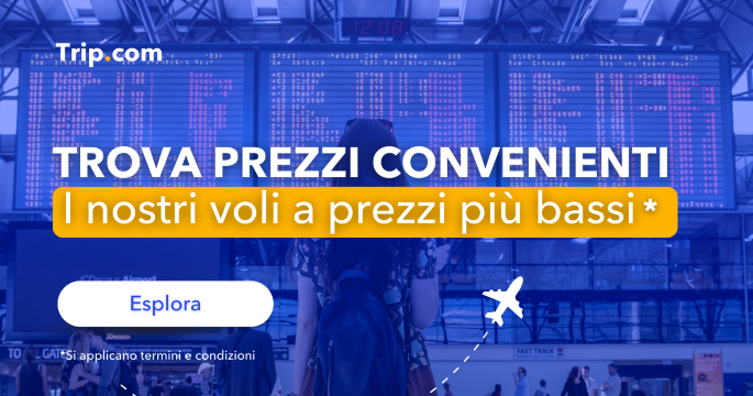 Trova prezzi convenienti