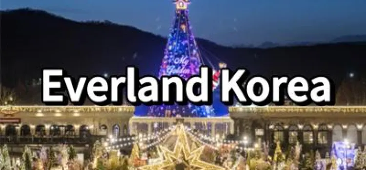 Best Guide to Everland Korea: What to do, Transport, Tickets and More ...