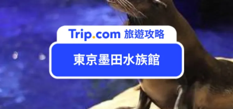 晴空塔隱藏景點 | 2025墨田水族館全攻略：門票交通、必逛重點，近距離看小企鵝！