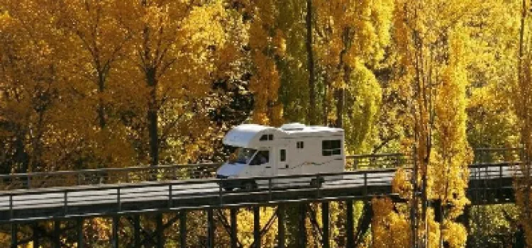 1mj1g12000j5pqlxo4FF0_C_750_350_R5.png_.webp?proc=autoorient&proc ...