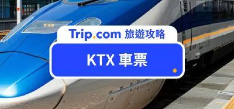 2025 韓國 KTX 車票價格、車廂類型、搭車步驟一次看！