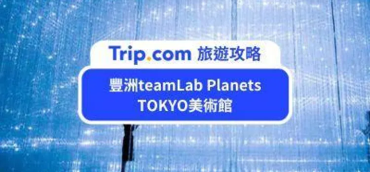東京teamLab全攻略！詳細門票價格、交通資訊、必逛設施、注意事項、常見問答，看這篇就對了！