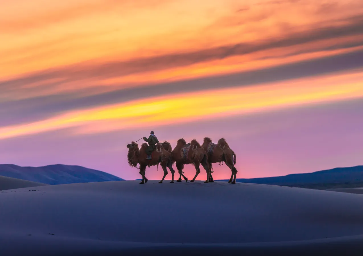 Mongolia Always Moving