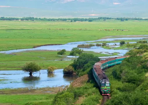 Mongolia Always Moving
